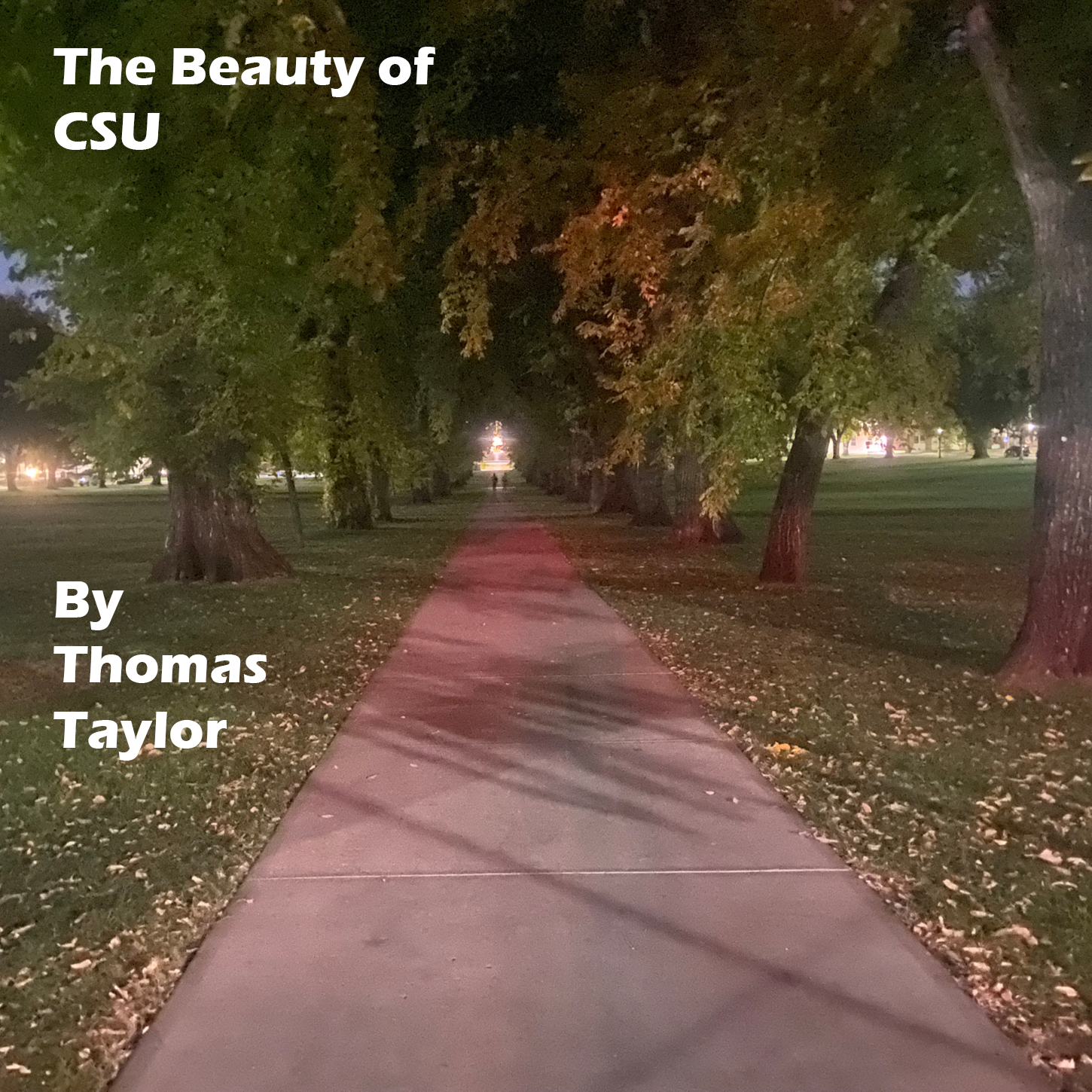 The beauty of CSU: The best fall photo-ops on campus - KCSU FM